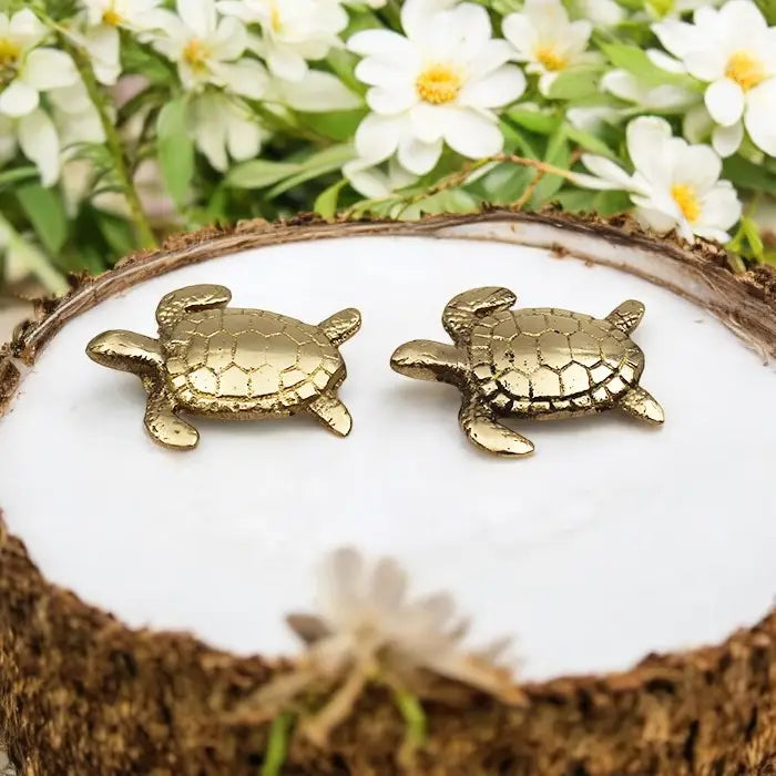 Pack of 2 Combo Kachua Set for Diwali Pujan – Dharmsaar