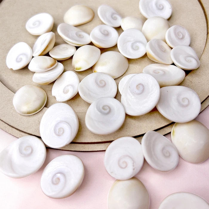 Natural Gomti Chakras | Rare Hand-Picked Gomati Chakras Perfect Shape ...